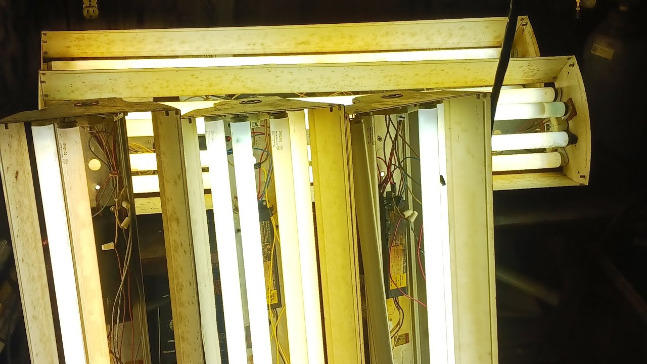 vintage fluorescent lighting collection update: 7/15/24 - YouTube