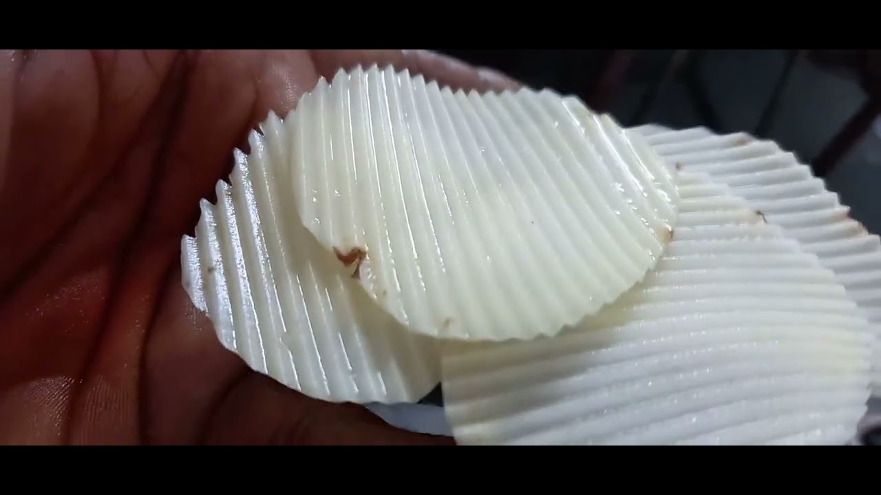 potato vcut slicer machine bh aqucut - YouTube