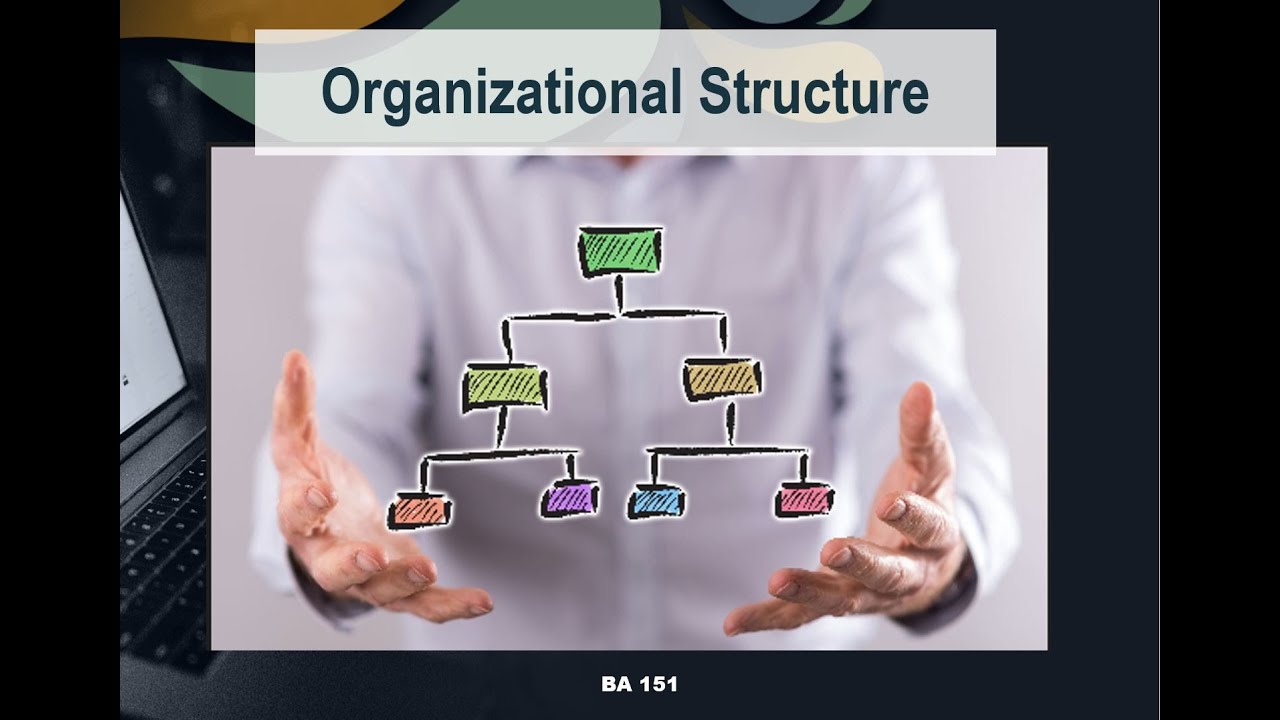 Organizational Structure - YouTube