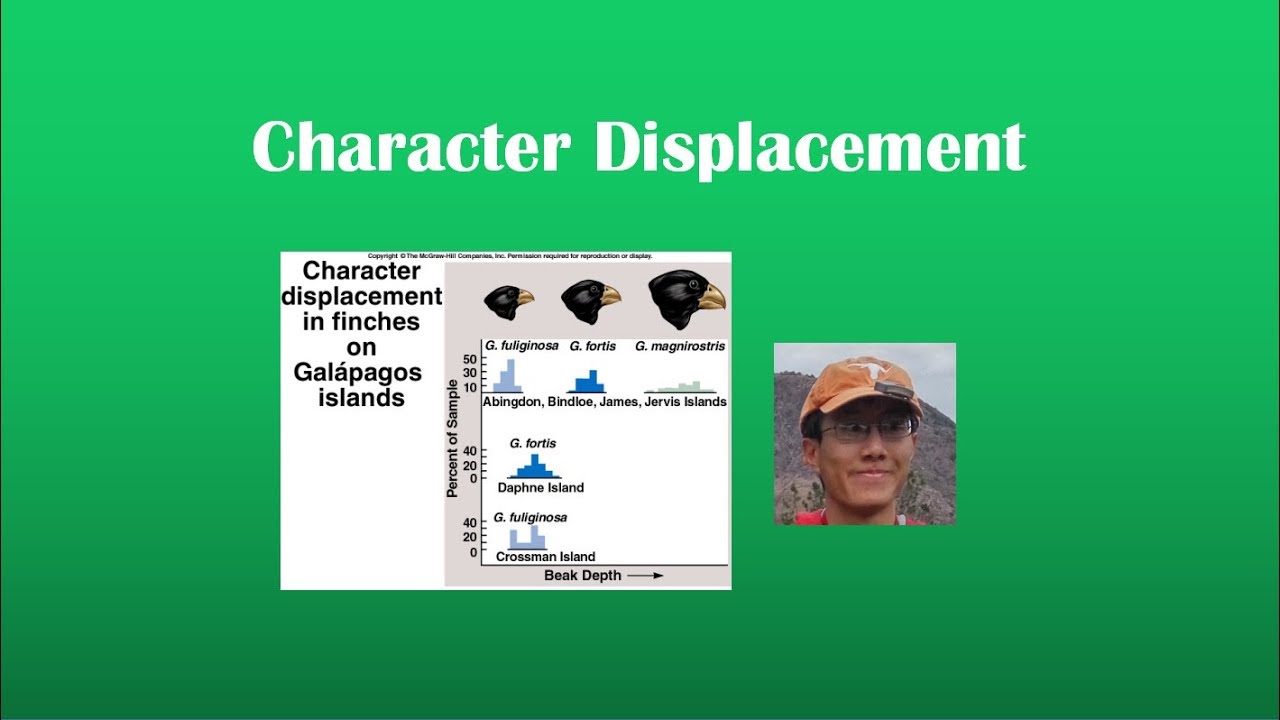 Character Displacement Review (BI 107) - YouTube