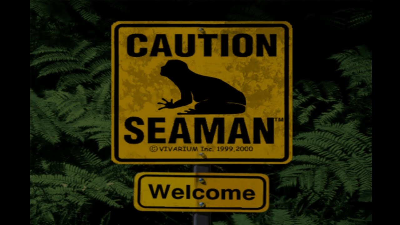 Seaman Day 38a - YouTube