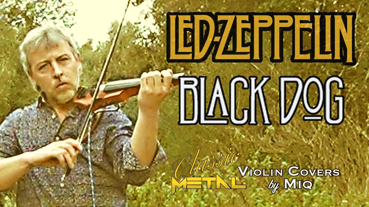 Black Dog - LED ZEPPELIN (Violin Cover) - YouTube