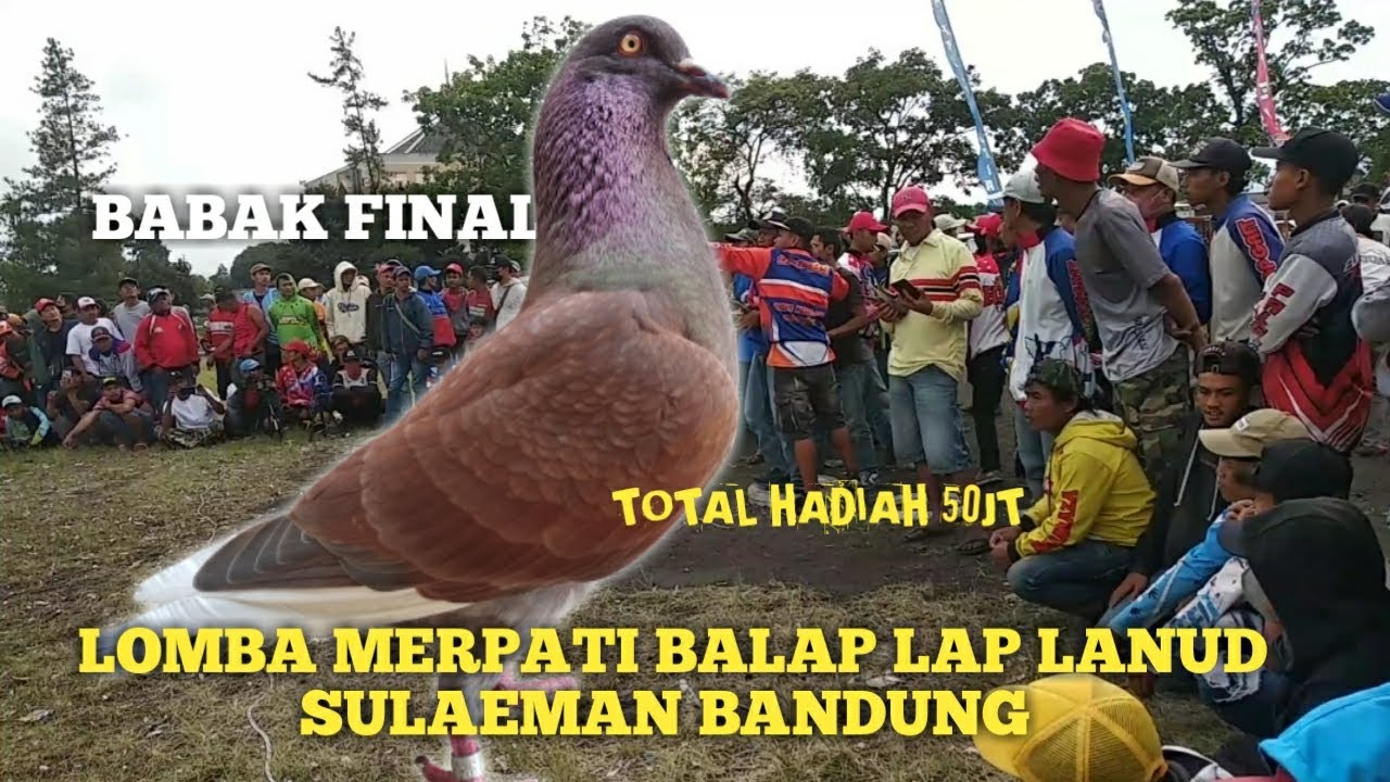 FINAL LOMBA MERPATI BALAP #merpatibalap #ppmbsi - YouTube