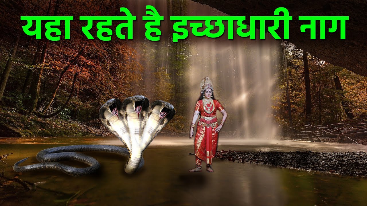 यहापर रहते है इच्छाधारी नाग- जानिए इच्छाधारी नागो का रहस्य और नागमणि से ...