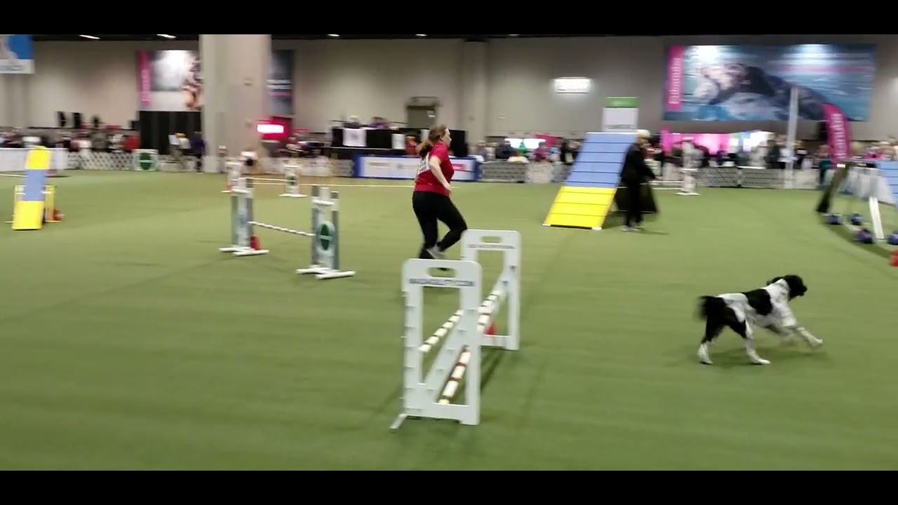 Day 2, Piper Run 2 - YouTube