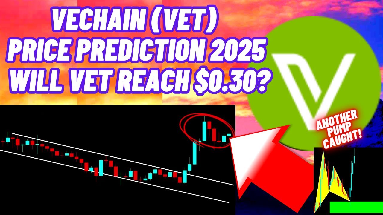 VeChain (VET) Price Prediction 2025 Will VET Reach $0.30? - YouTube