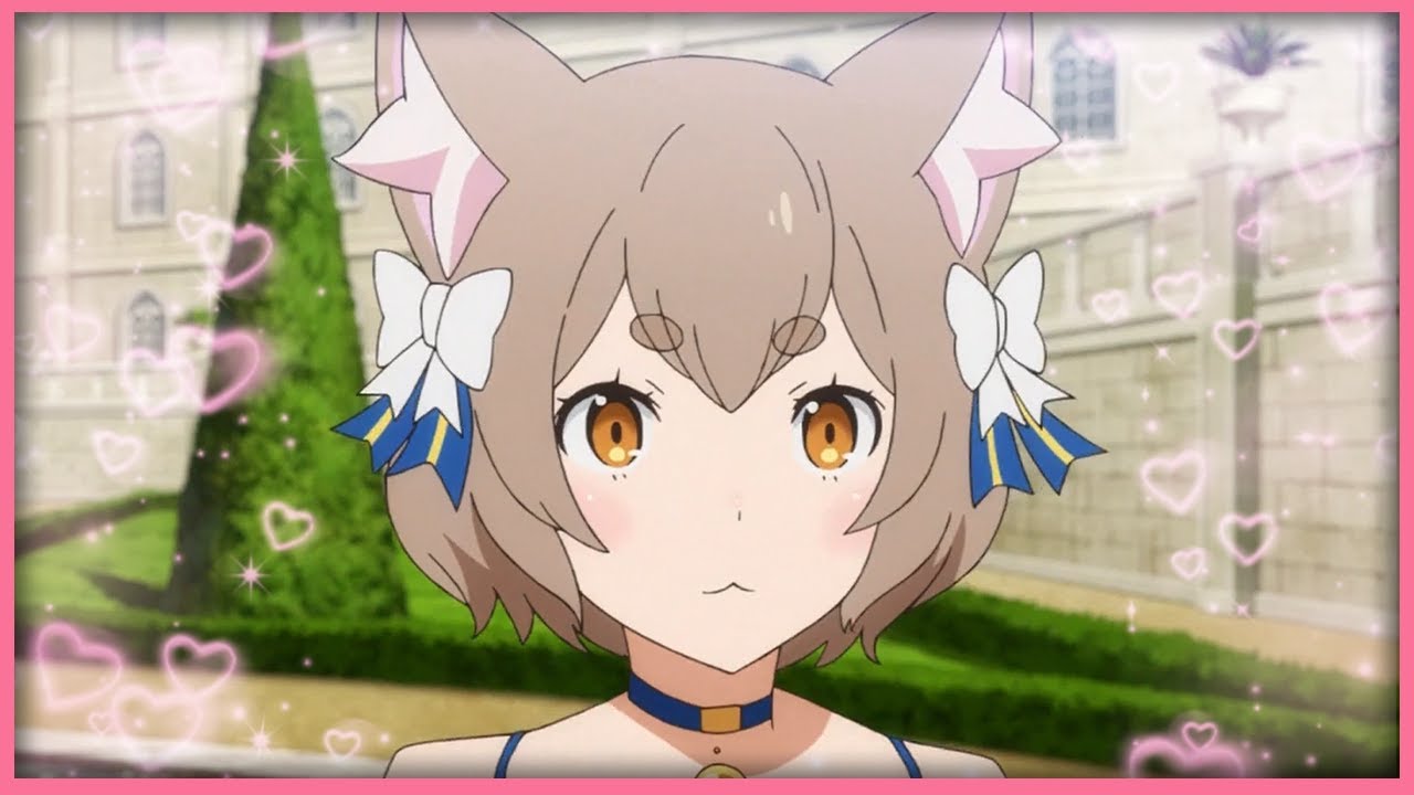 this is a cat video - YouTube