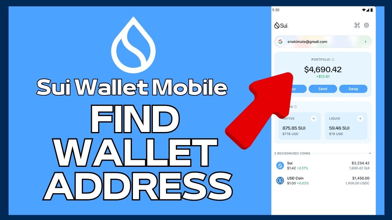 How to Find Wallet Address on Sui Wallet 2024? - YouTube