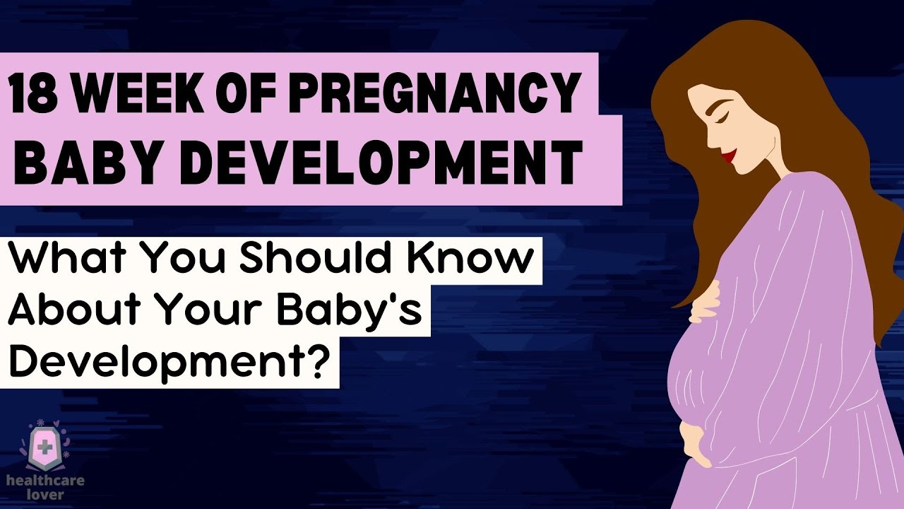 Baby development at 18 weeks pregnancy | Health Care Lover - YouTube