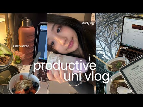 UNI-VLOG 💻౨ৎ realistisches und produktives Lernen, Alleinleben, Essensideen und Abendessen 🍜