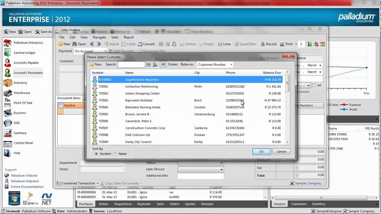 Palladium Accounting Software Document Processing Validation - YouTube