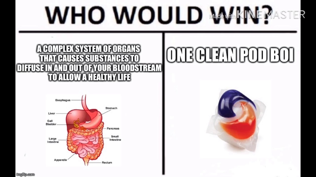 clean fresh who would win memes for ya - YouTube