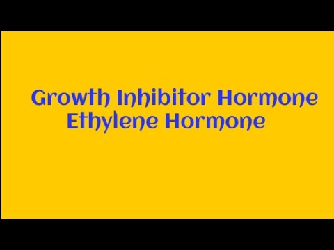 Growth Inhibitor Hormone 👍 Ethylene Hormone 👍👍#biology #ethylene#bsc # ...