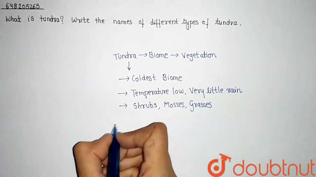 Different Types Of Tundra