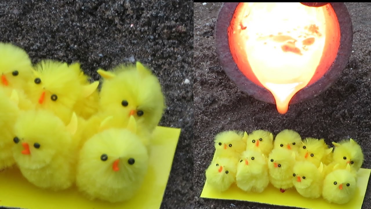 EXPERIMENT: LAVA vs Chicken. - YouTube