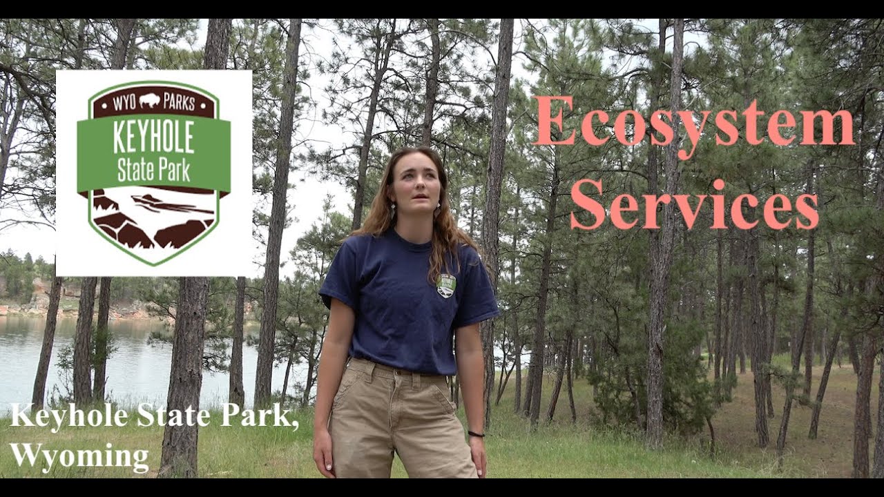 Ecosystem Services at Keyhole State Park - YouTube