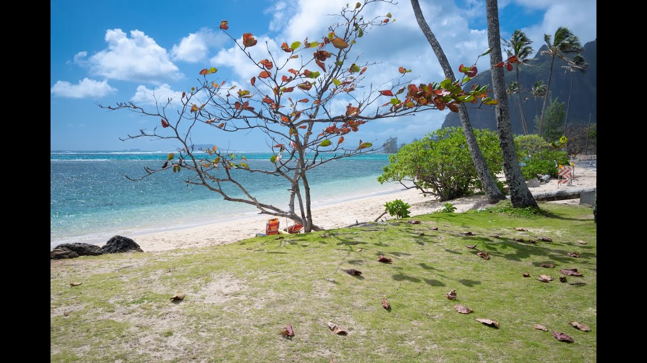 Kaaawa Beach Day - YouTube