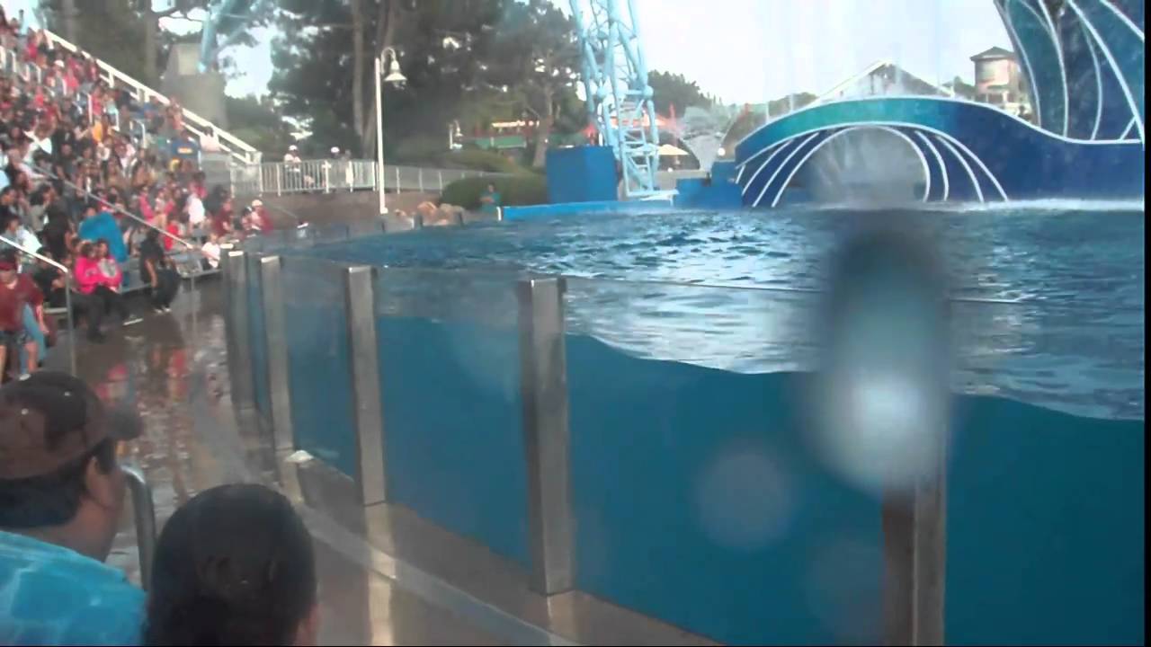 Sea World Soak Zone - YouTube