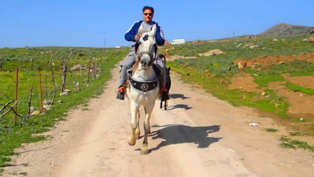 gasba chawiya horra VISIONNEZ LA EN FULL HD - YouTube