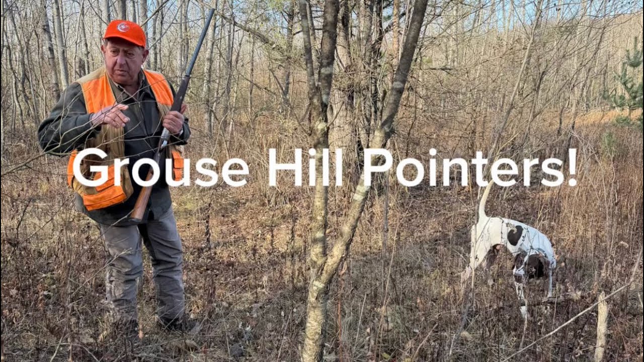 Grouse Hill Pointers! - YouTube