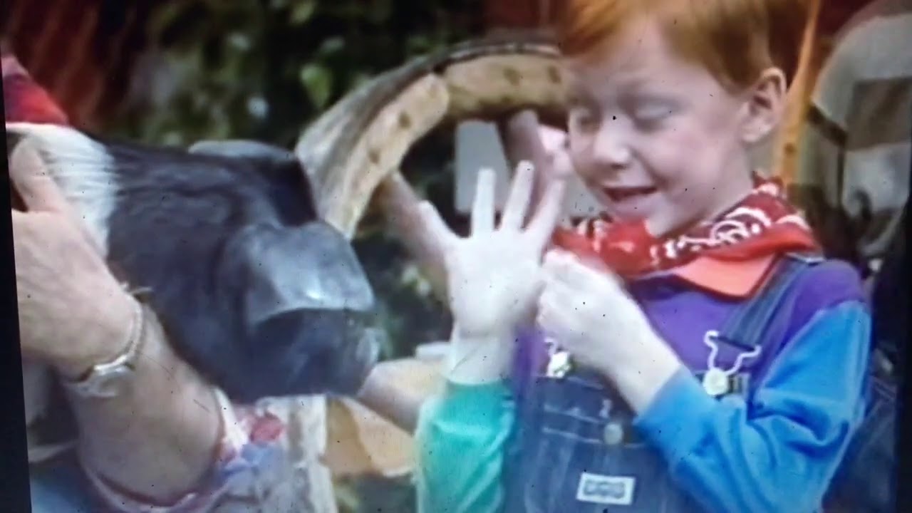 Barney & Friends Season 1 Episode 10 Down On Barney’s Farm Part 1 - YouTube