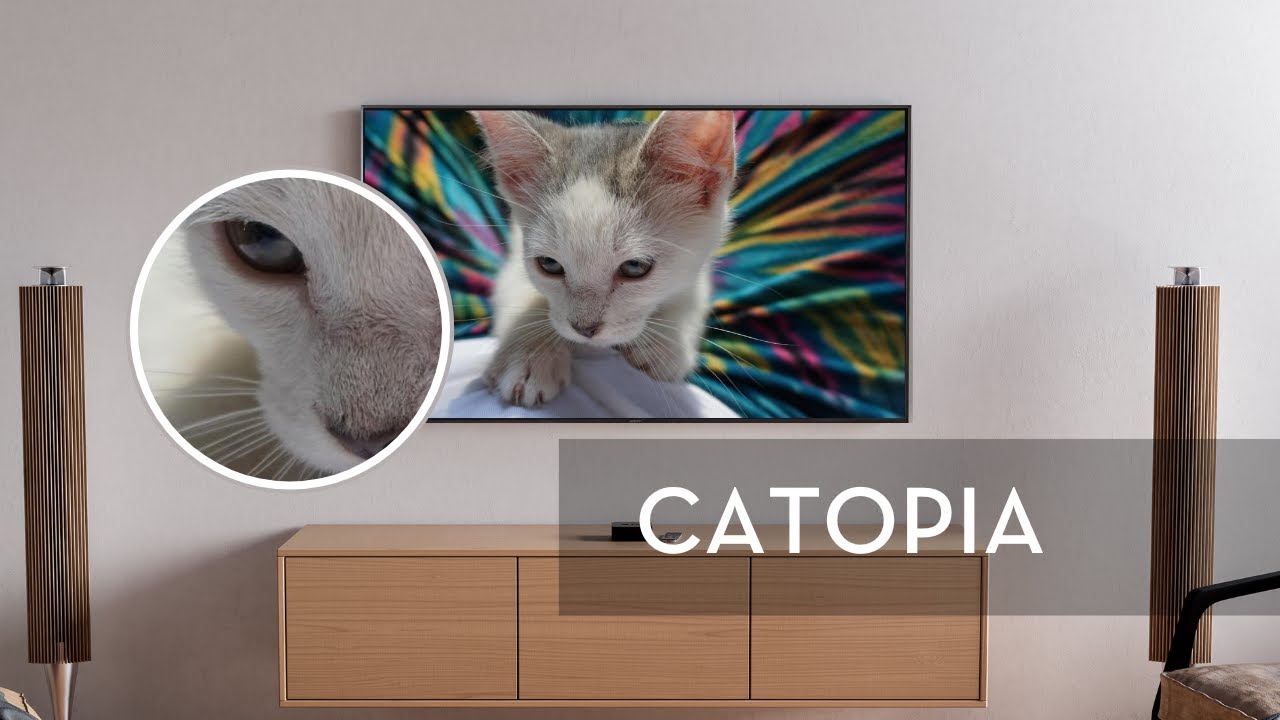 Loupe Art + Music Preview — Catopia - YouTube