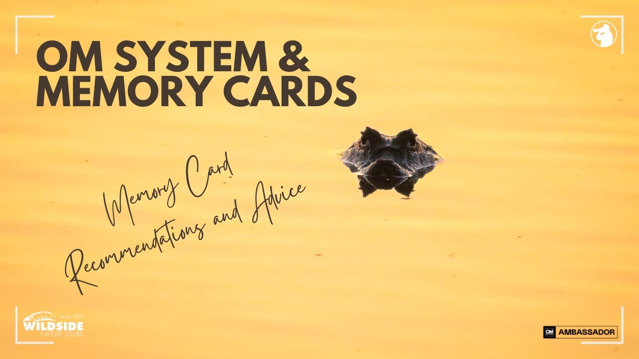 OM System & Memory Cards - Picking the Best One - YouTube