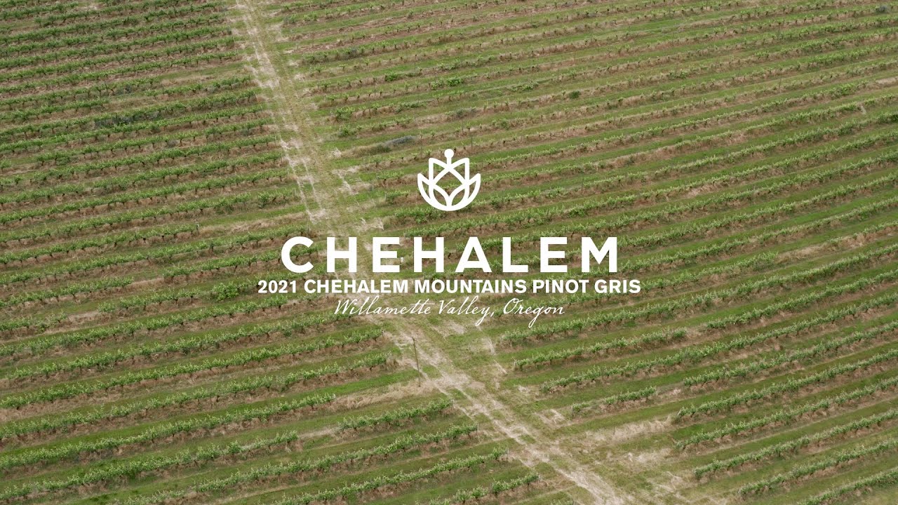 2021 Chehalem Mountains Pinot Gris - YouTube