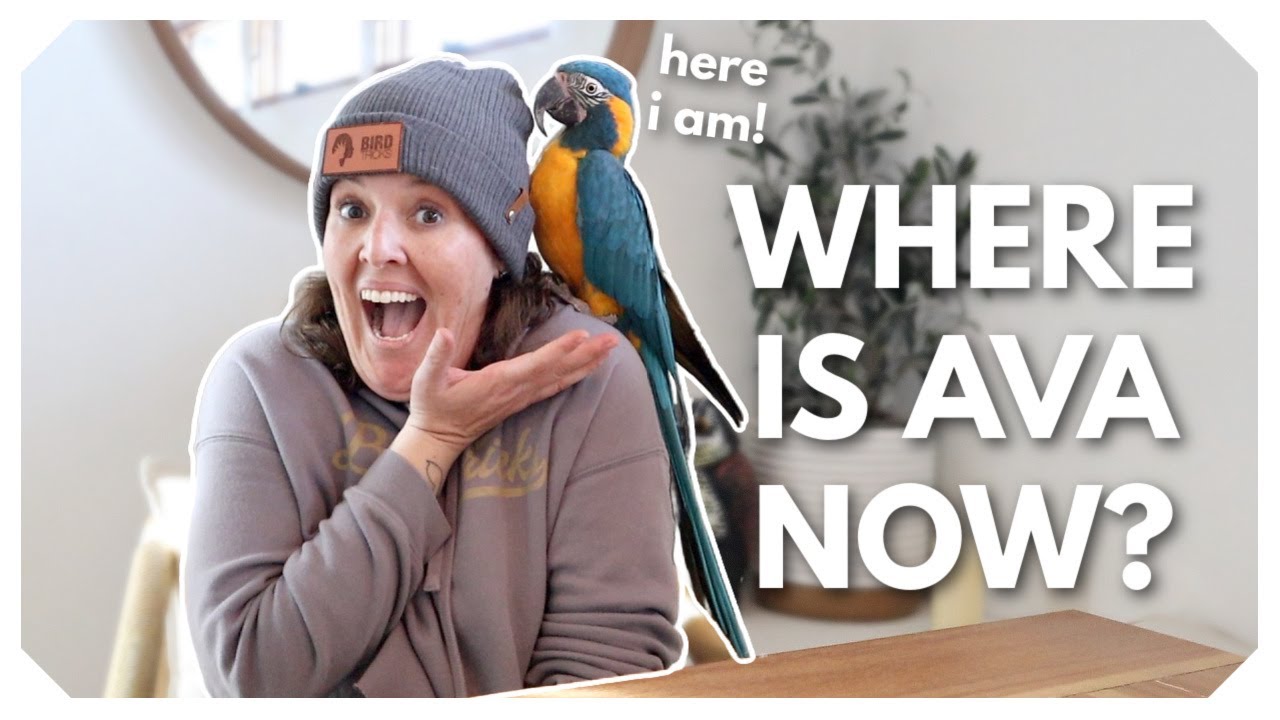 Ava Update! How is she doing in her new home? - YouTube