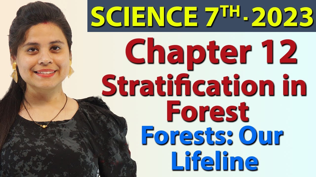 Stratification in Forest - Chapter 12 - Forests: Our Lifeline - Science ...