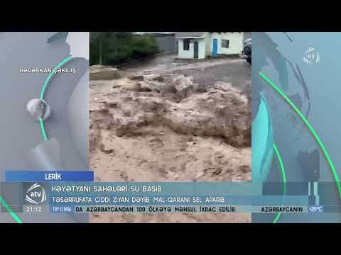 Lerikdə həyətyanı sahələri su basıb