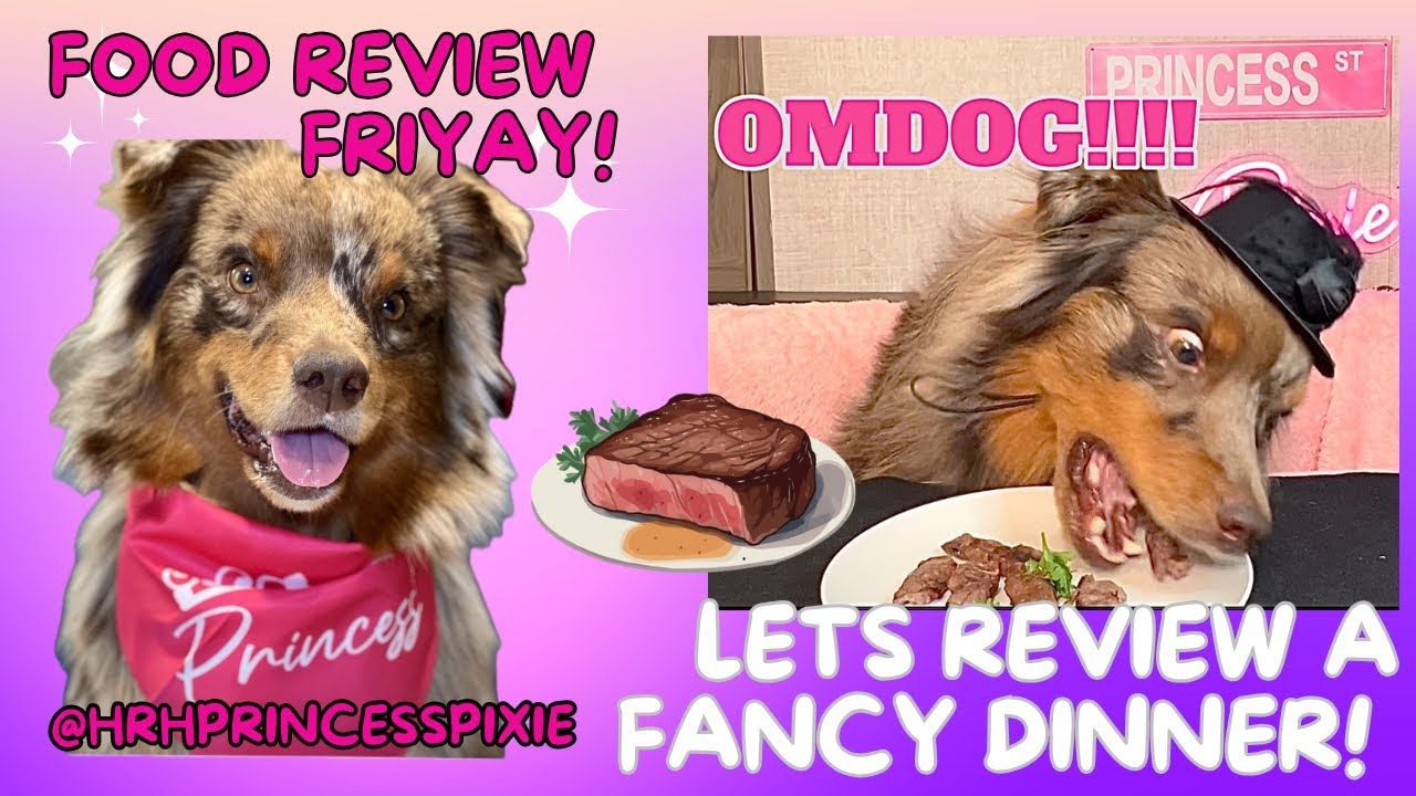 Food Review FRIYAY! Let’s Review A Fancy Restaurant Dinner! Dogs try ...