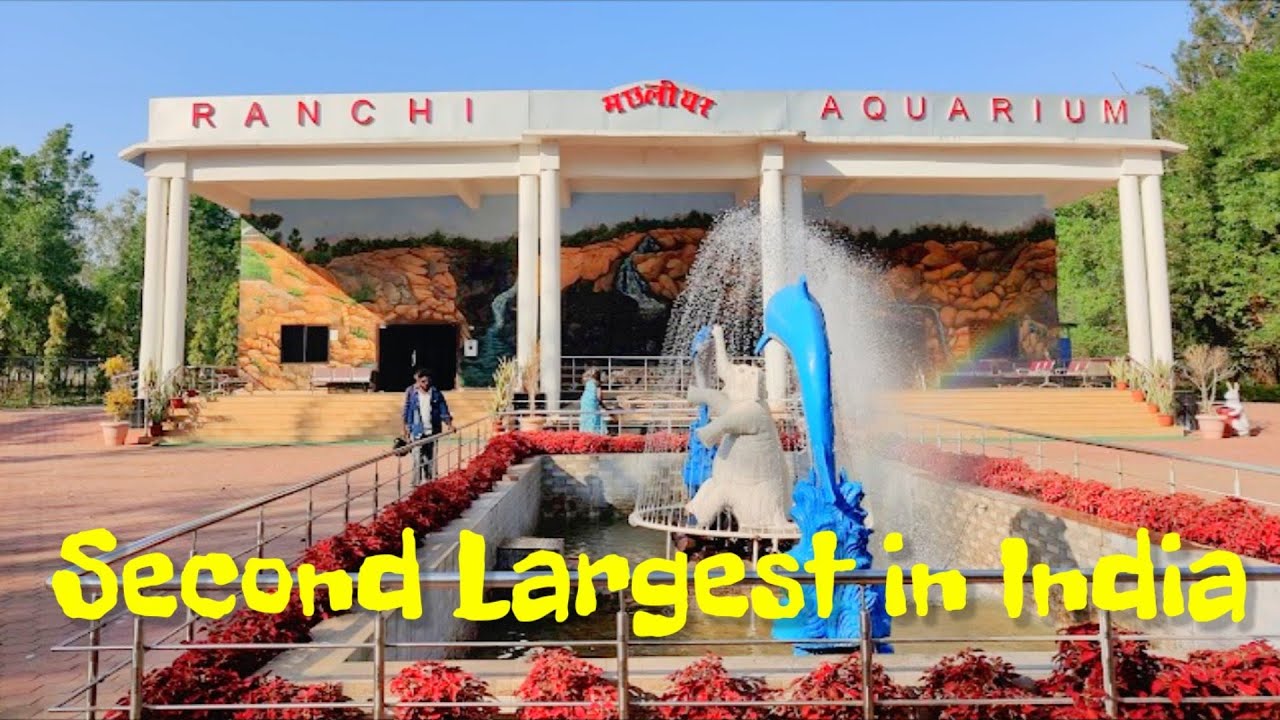 Machli Ghar Ranchi || Ranchi Aquarium || Machli Ghar Ormanjhi ...