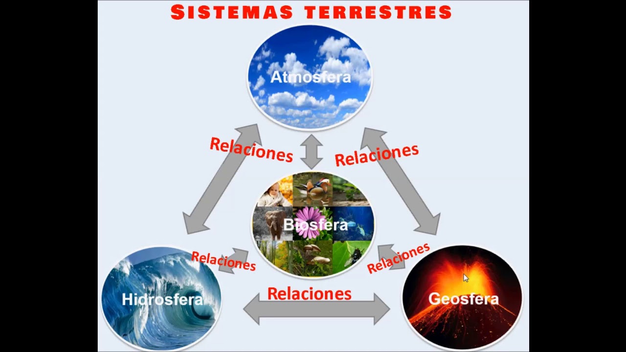 Que Es Ambiente Su Definicion Y Significado 2020