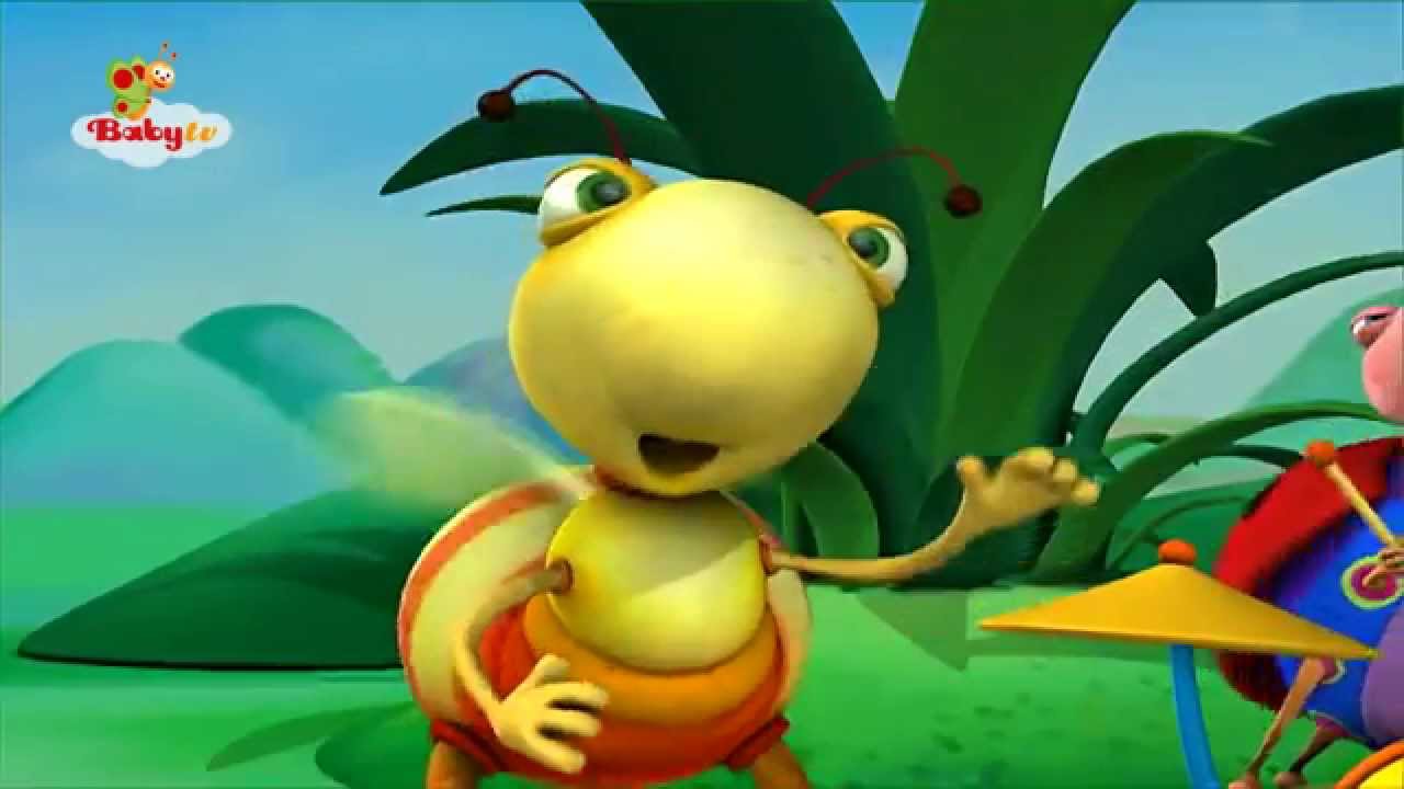 Big Bugs Band Ireland YouTube big-bugs-band-ireland-youtube