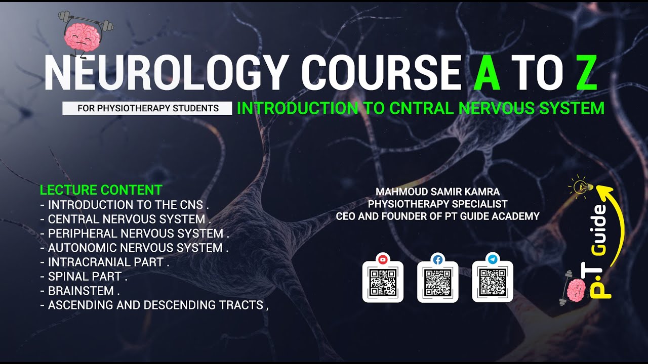 Neurology - Introduction to the central nervous system - YouTube