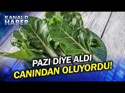 Pazardan Pazı Diye Aldı, Zehirli Ot Çıktı! İşte Dikkat Edilmesi Gereken Hayat Kurtaran Detaylar...