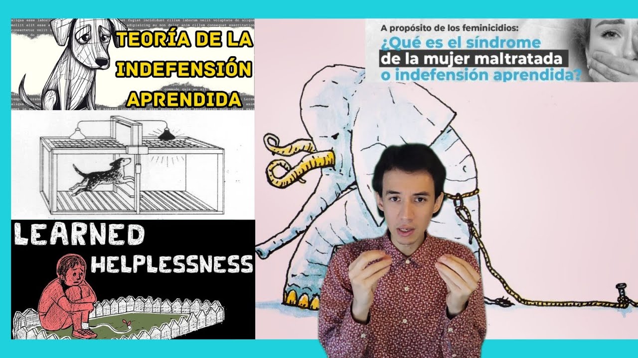 Electricidad y perros en experimento que demostró: La Indefensión ...