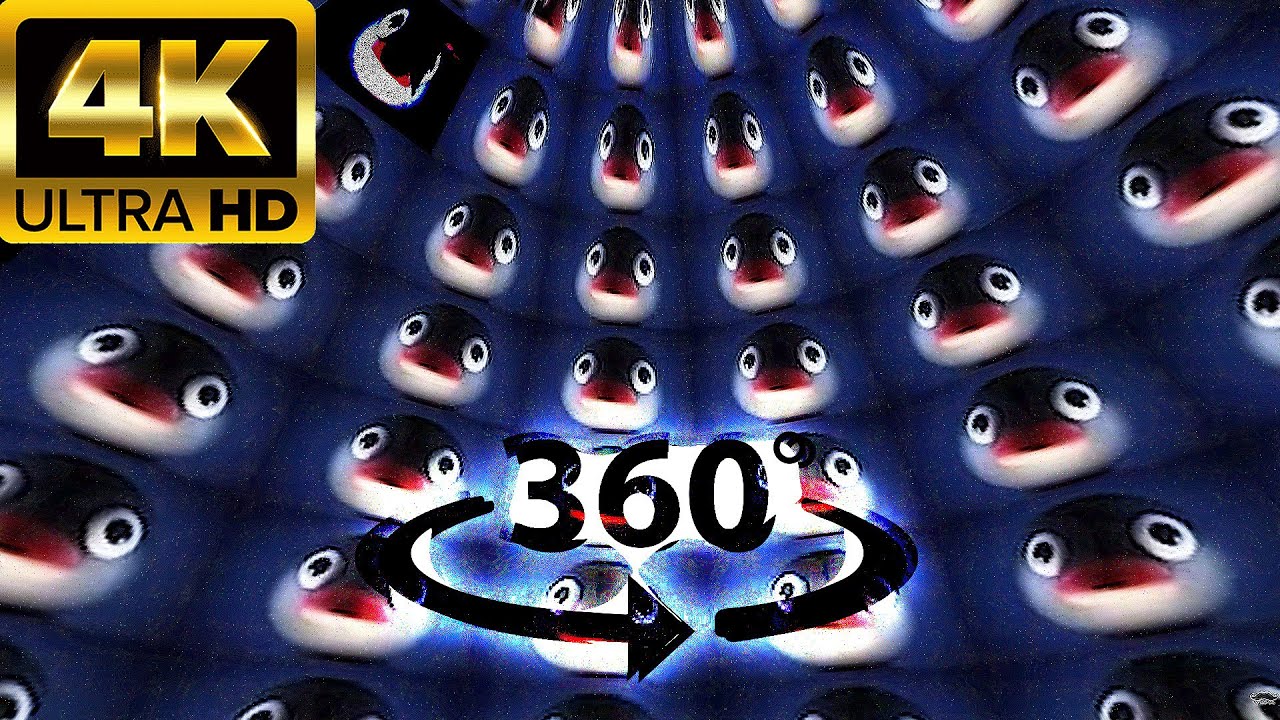 Noot noot OVER 1 MILLION TIMES VR 360° 4k - YouTube