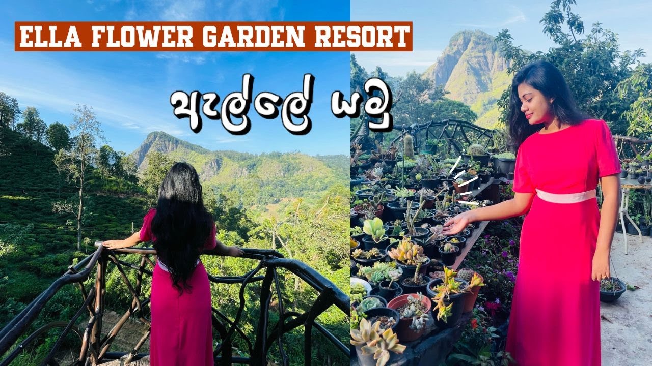 Ella Flower Garden Resort 🌺🌻 Hotels in Ella Sri Lanka ⛰️ඇල්ල යනවා නම් ...