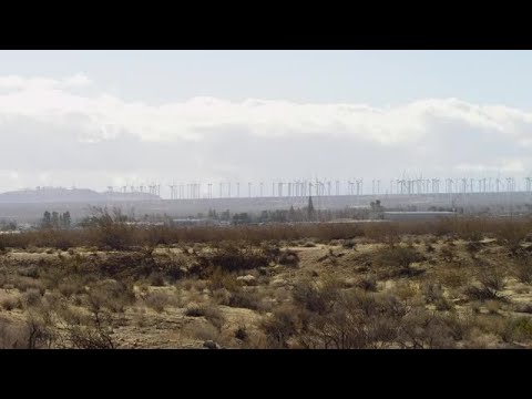 Dry Bushy Steppe Stock Video