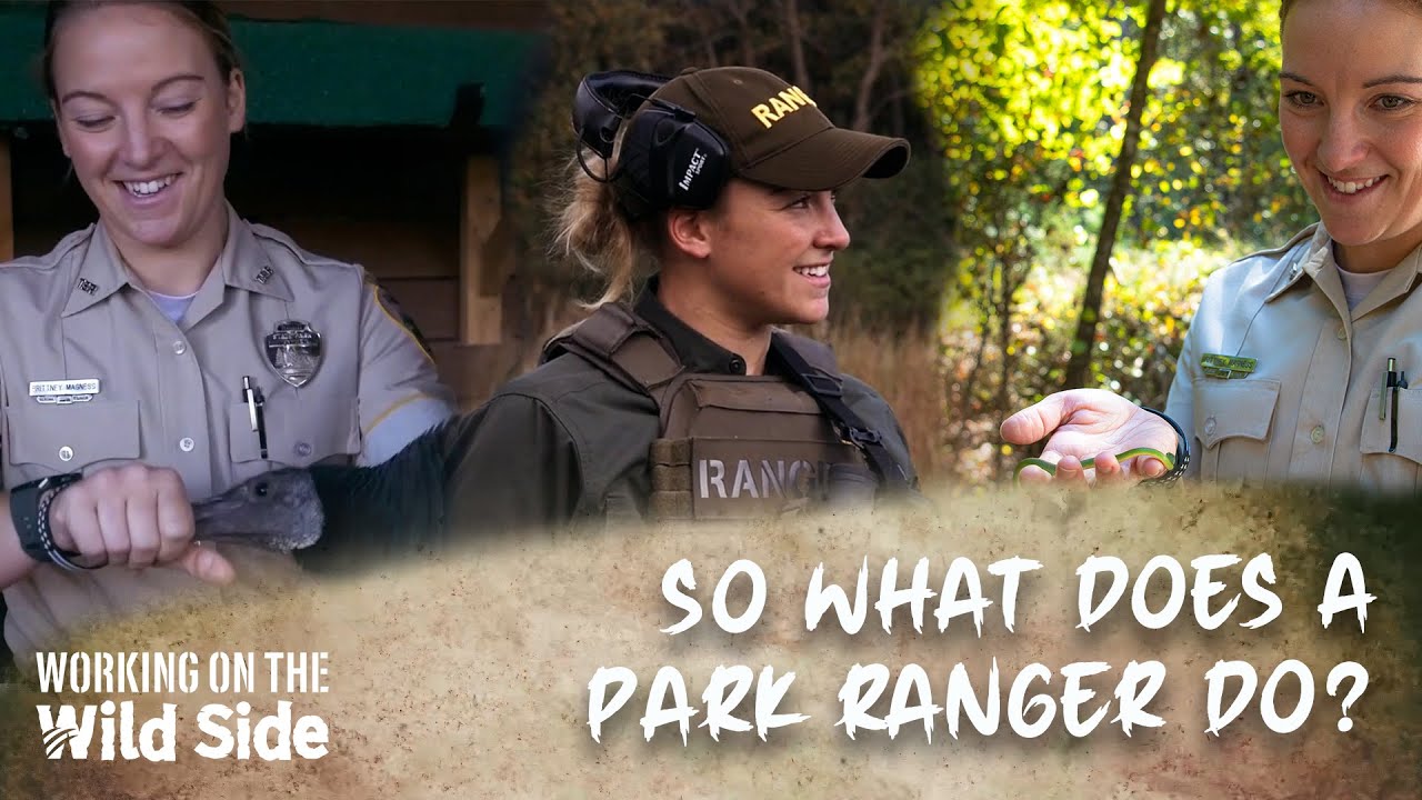 Park Ranger - Working On The Wild Side - Episode 2 - YouTube