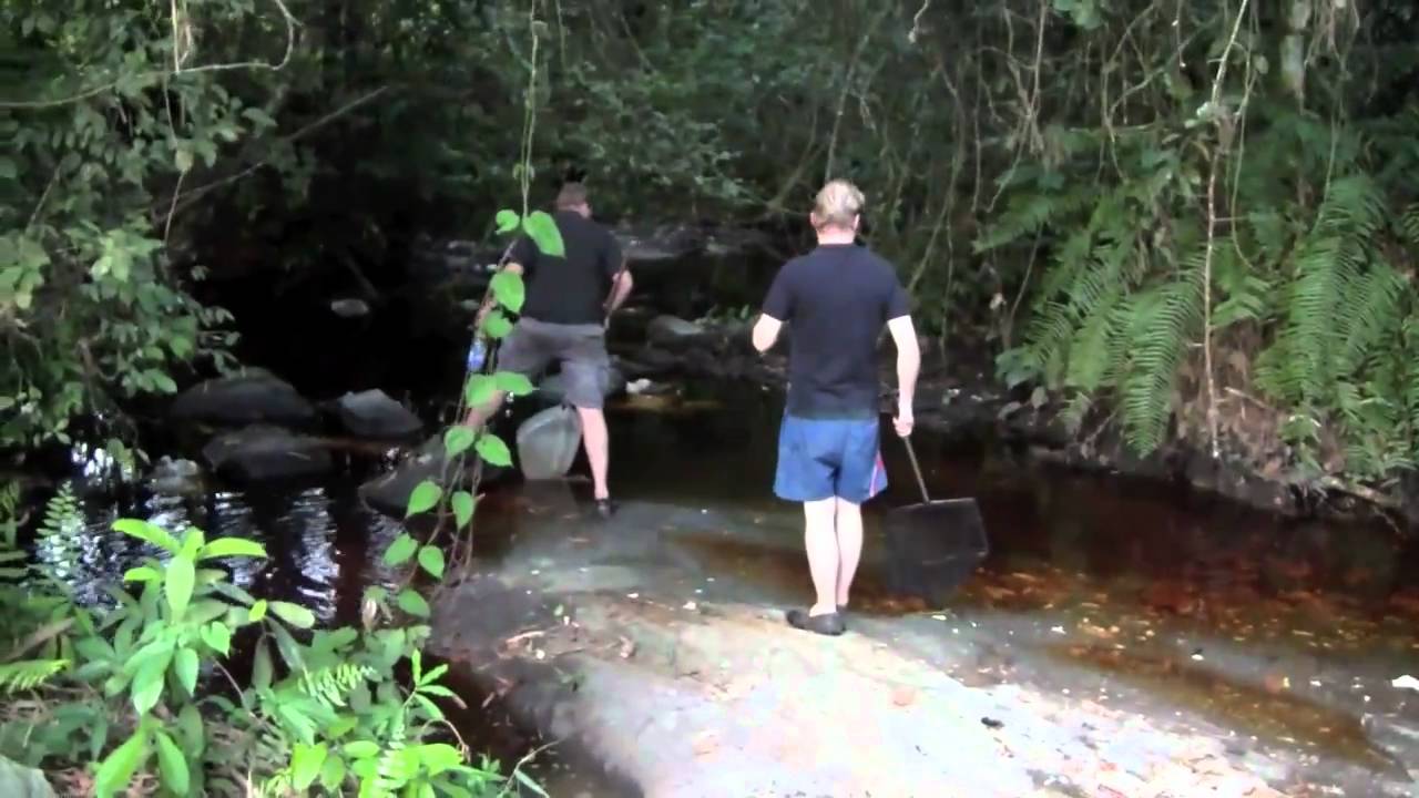 Going Gabon - Makokou Part 1 - YouTube