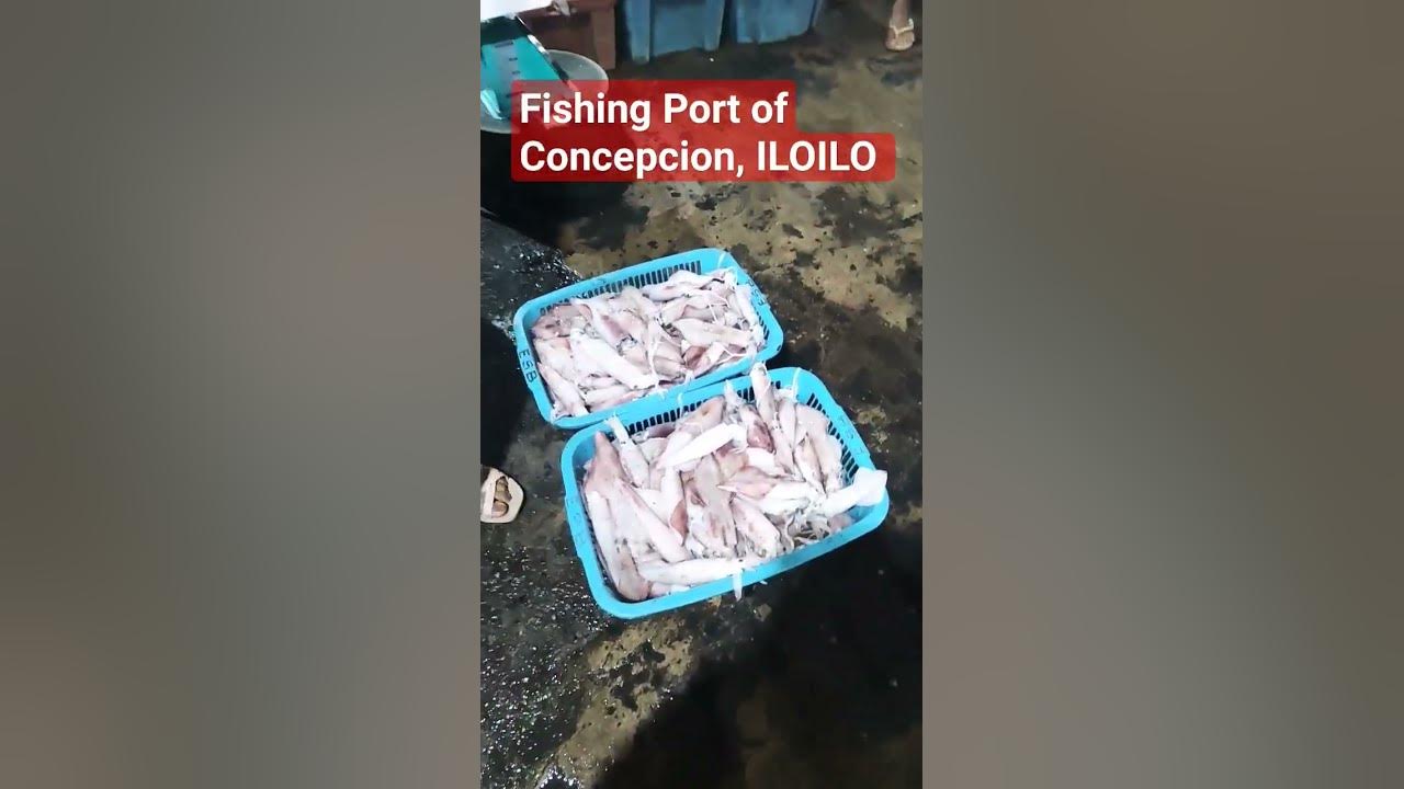#Concepcion, ILOILO Fishing Port - YouTube