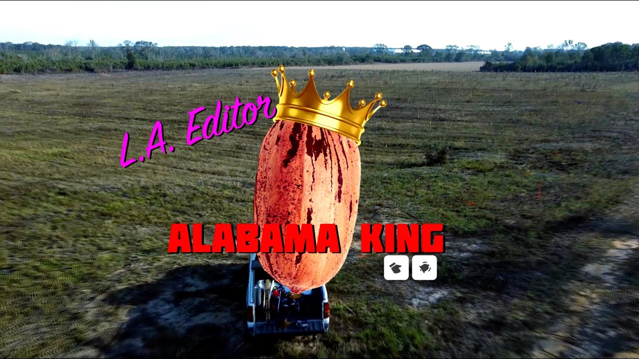 ALABAMA KING TRAILER - QUICK SYNOPSIS OF WHAT MY CHANNEL IS ALL ABOUT ...