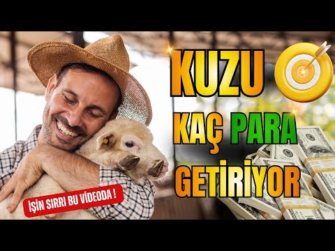 🎯💥KASAPLIK KUZU |GERÇEK KÂR SIRRI💰🔥#koyunculuk #koyun #kuzu #küçükbaş #besicilik #hayvancılık #köy