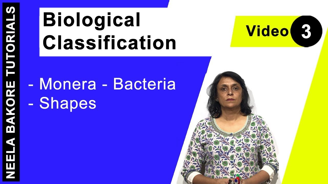 Biological Classification | NEET | Monera - Bacteria - Shapes | Neela ...