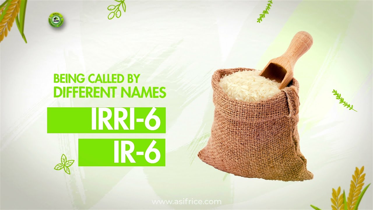 IRRI 6 Long Grain Rice - ASIF RICE MILLS - YouTube