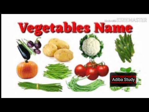 Learn vegetable names English to Bangla tutorial... - YouTube