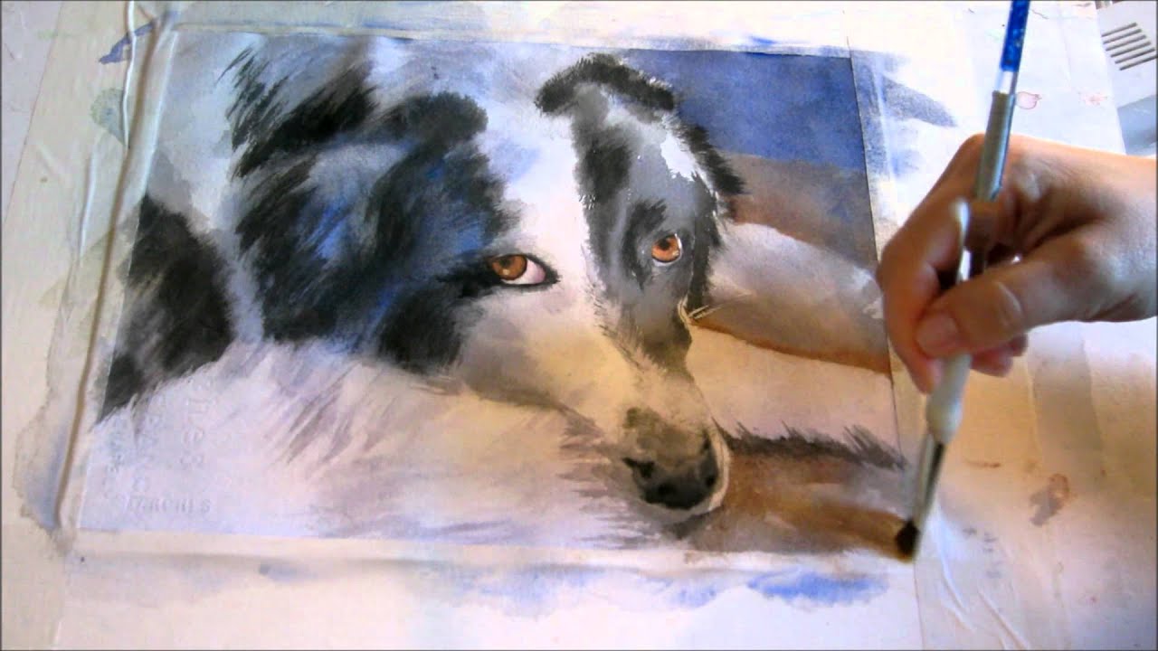 #14 Final Black and White Dog Watercolor Tutorial video Sheepdog for ...